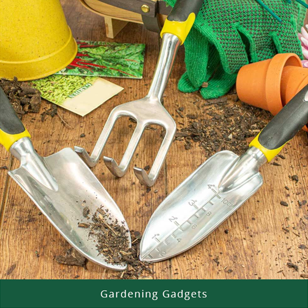 Healthy Living Home Page | Healthy Living Direct